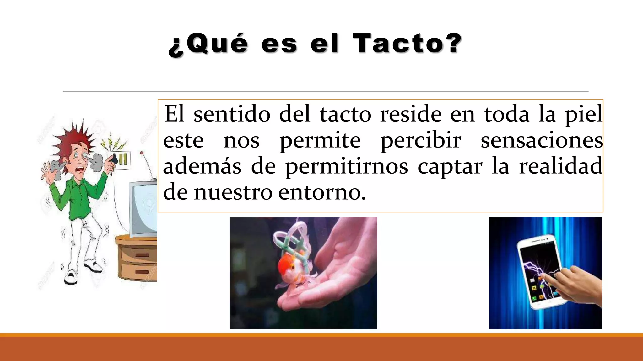 El Sentido del Tacto | PPTX