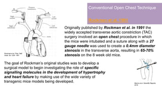 Transverse Aortic Constriction: The Importance of Monitoring Surgical ...