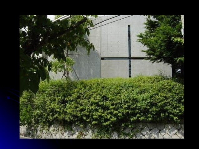 Tadao Ando | PPT