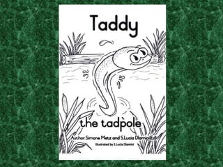 Taddy the tadpole | PPTX