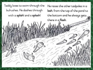 Taddy the tadpole | PPTX