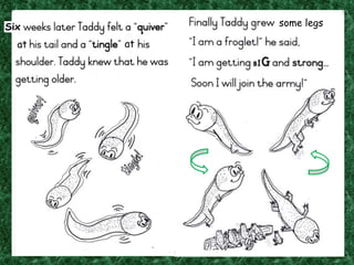 Taddy the tadpole | PPTX