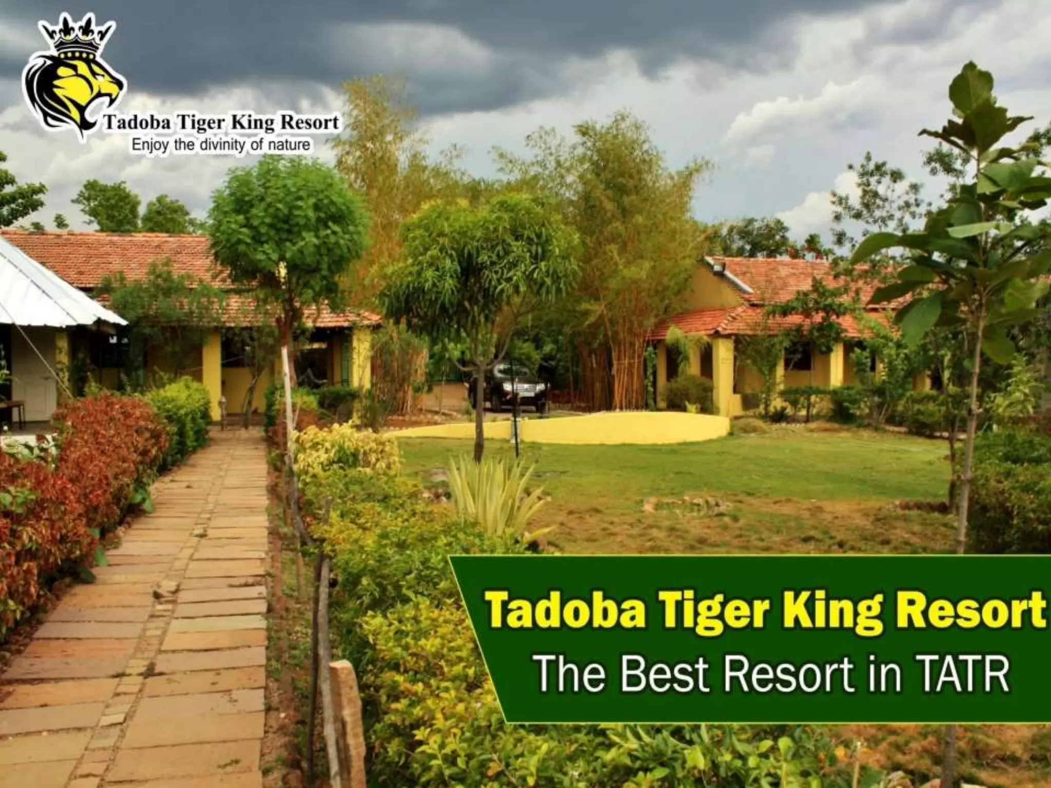 Tadoba Tiger King Resort - Best Resort in TATR | PPT