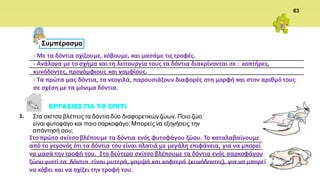 Τα δόντια μας, Η αρχή του ταξιδιού της τροφής | PPT