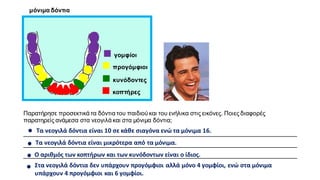 Τα δόντια μας, Η αρχή του ταξιδιού της τροφής | PPT