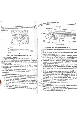 Tadpole Larva Hindi Medium Notes PDF Download | PDF