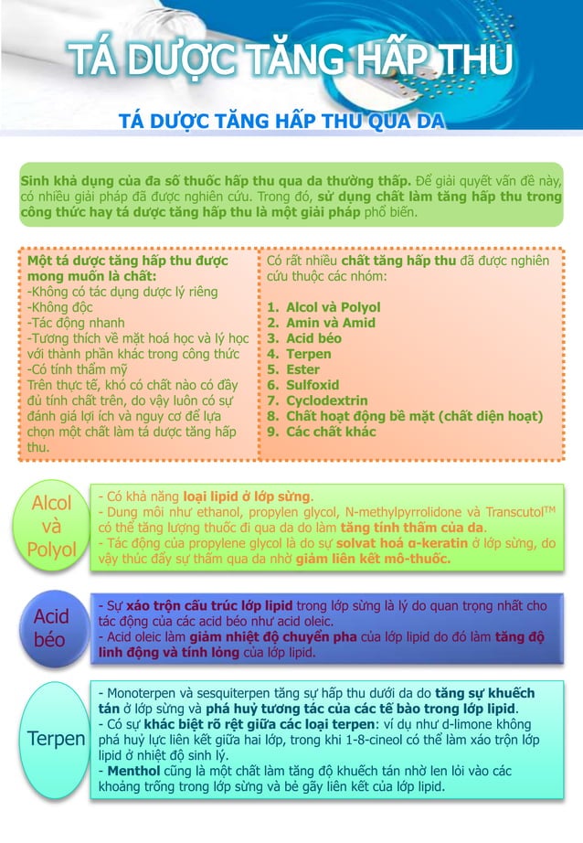 Ta duoc tang hap thu | PDF