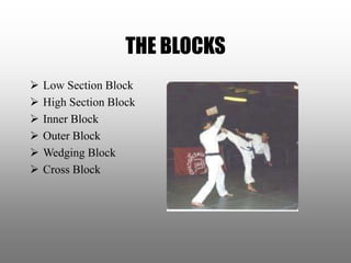 taekwondo-pres1.ppt