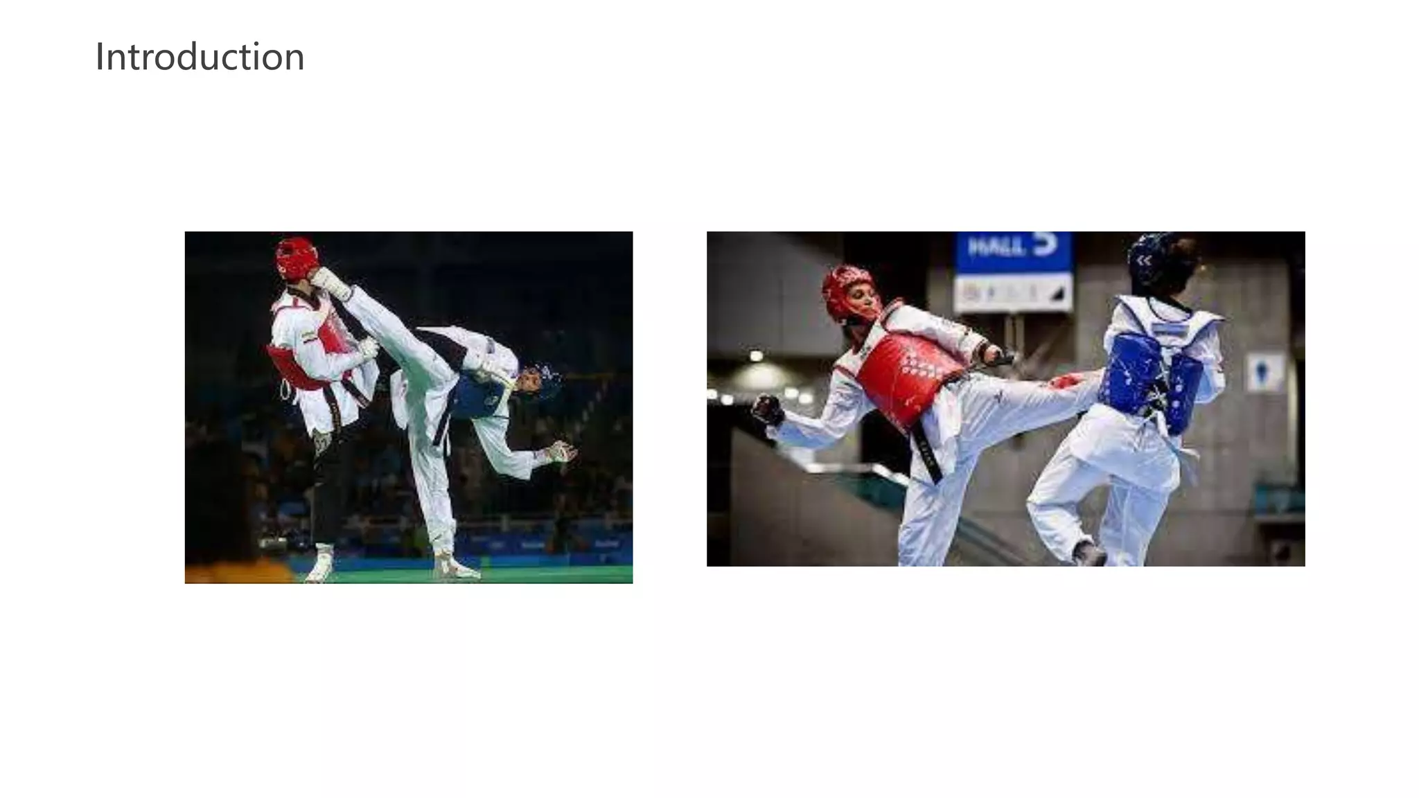 Taekwondo Seminar.pptx | Nutrition | Healthy Living