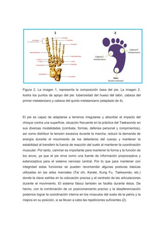 Taekwondo y fisioterapia | PDF