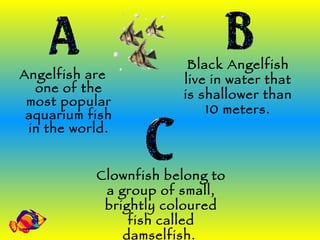 A fishy alphabet | PPT