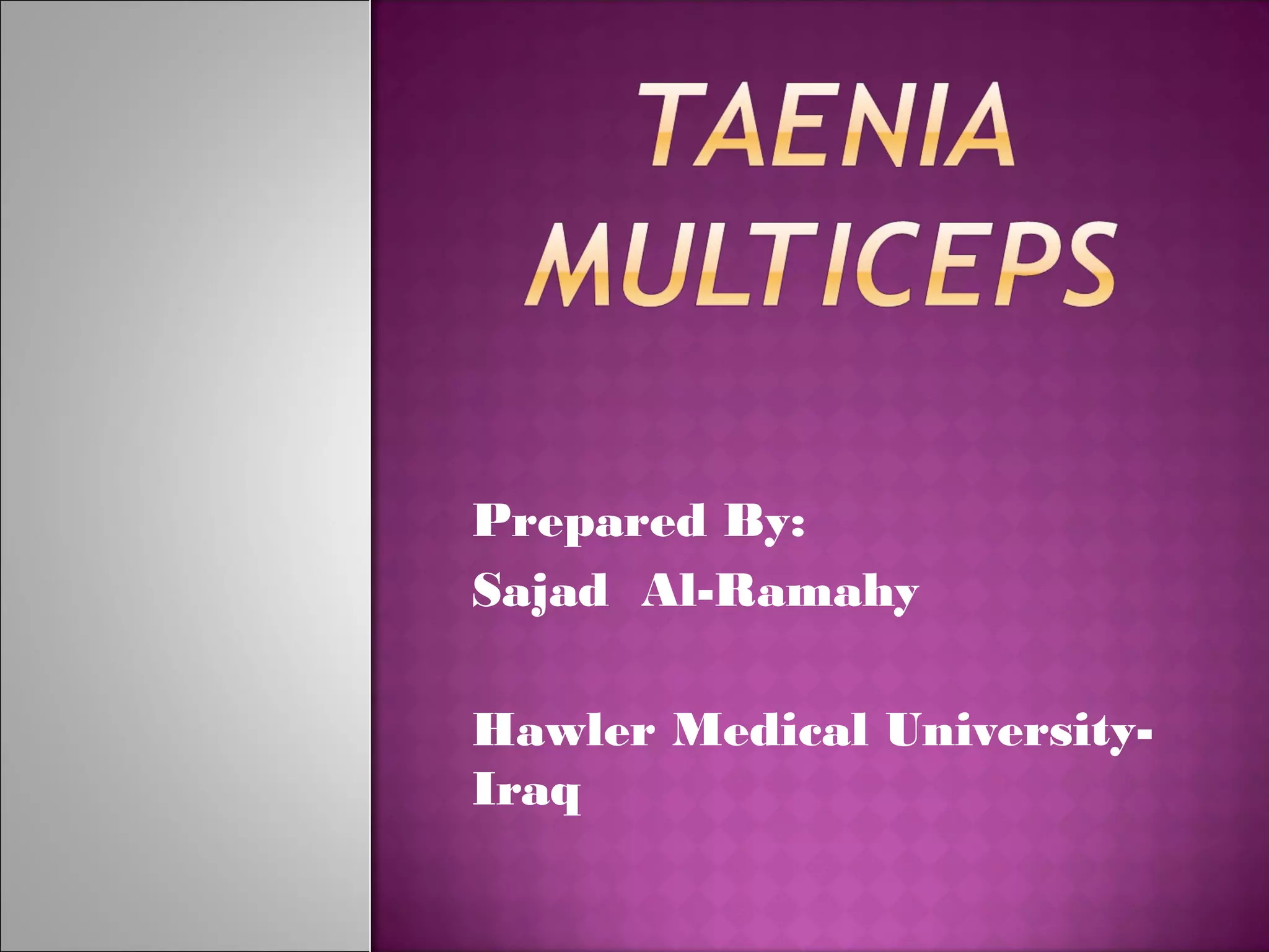 Taenia multiceps | PPT