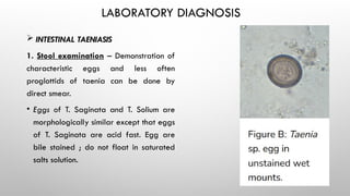TAENIA PPT.ppt Presented by Rahul Patel Student of Medical microbiology ...
