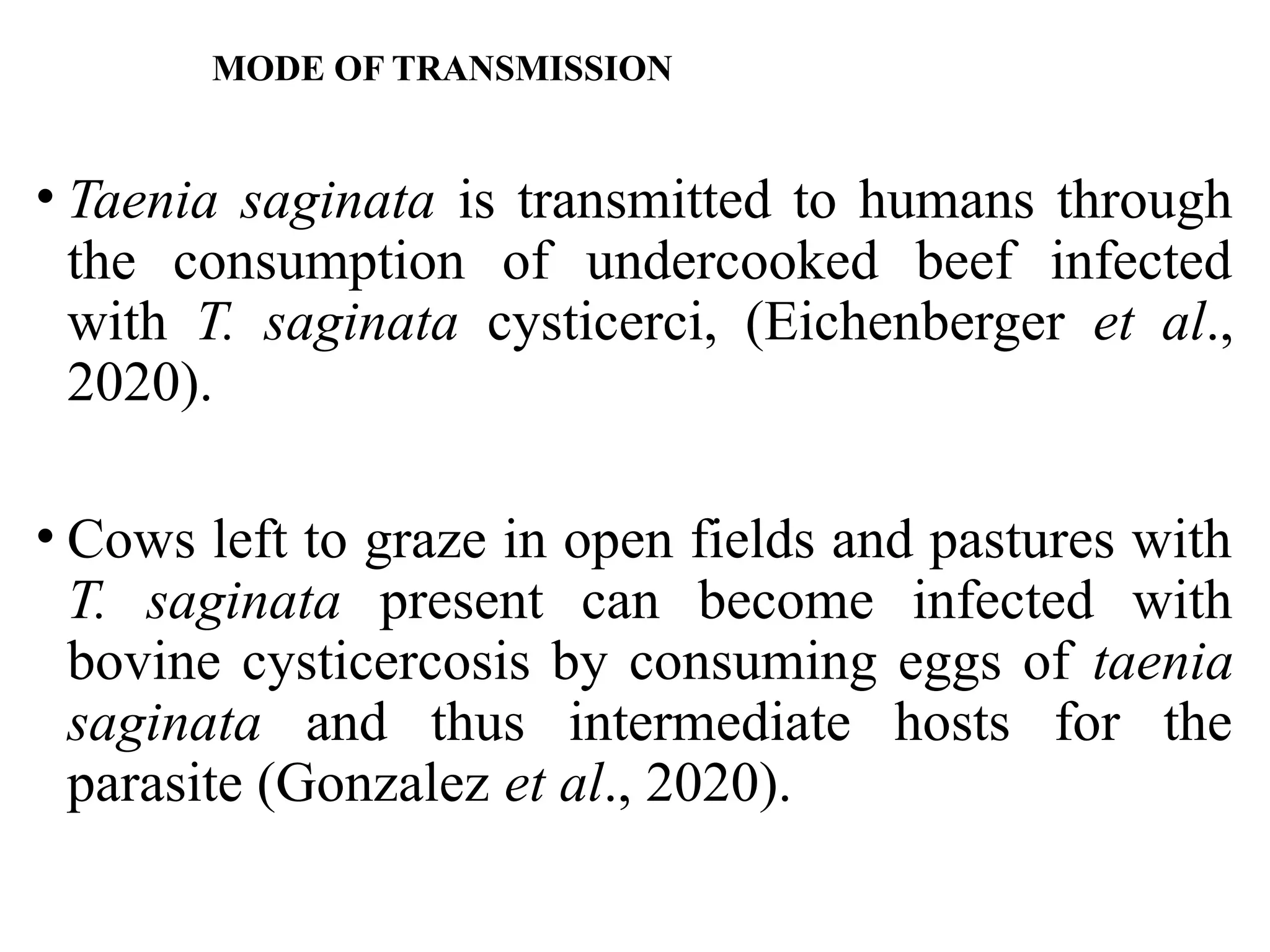 Taenia saginata and it's association pptx | PPTX