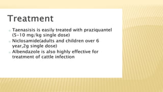 Taenia Saginata slides From haseeb Rajpoot | PPTX
