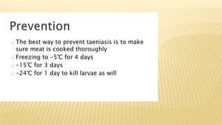 Taenia Saginata slides From haseeb Rajpoot | PPTX
