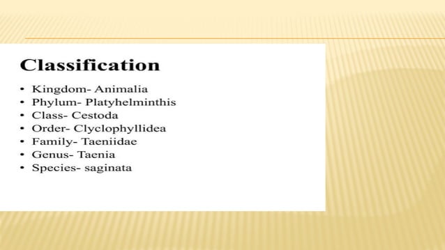 Taenia Saginata slides From haseeb Rajpoot | PPT