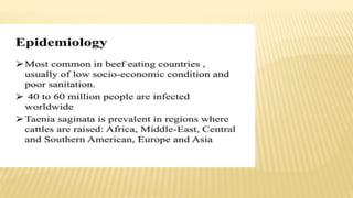 Taenia Saginata slides From haseeb Rajpoot | PPTX