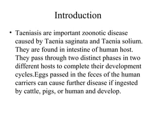 Taeniasis | PPT | Free Download