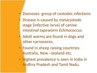 Taeniasis | PPT