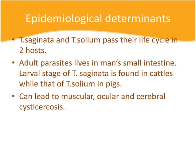 Taeniasis | PPT | Digestive Disorders | Diseases and Conditions