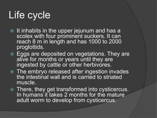 Taeniasis neeraj krishna | PPTX