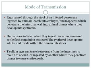 Taeniasis_PPT[1].pptx MEDICAL MANAGEMENT | PPT