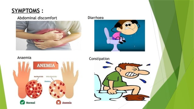 taenia solium(pork tapeworm)- Morphology|Lifecycle|Symptoms |Diagnosis ...