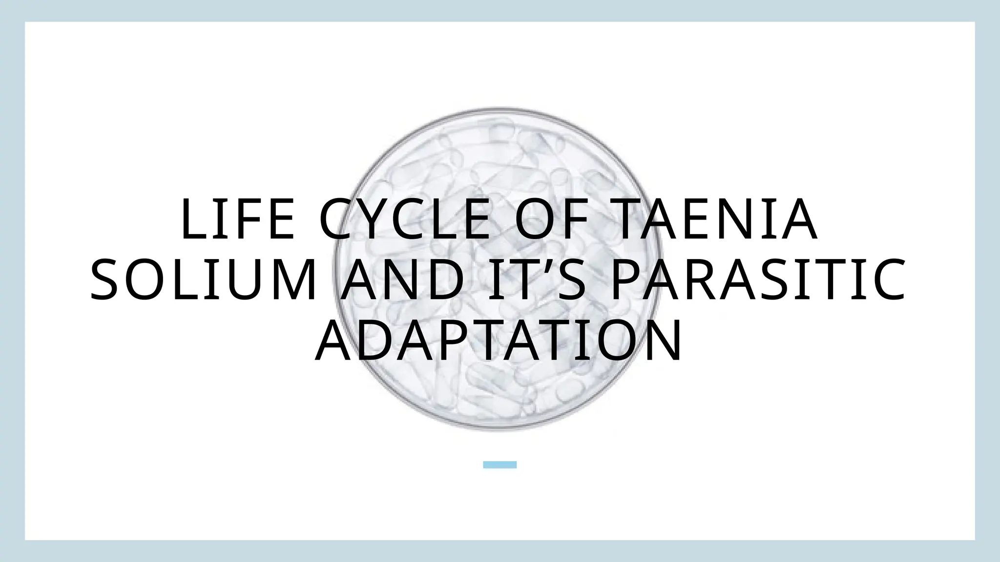 Life cycle of Taenia Solium & its parasitic adaptations. | PPTX