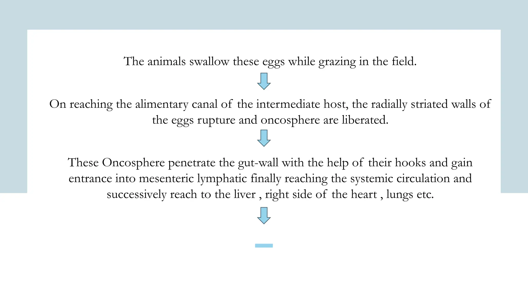 Life cycle of Taenia Solium & its parasitic adaptations. | PPTX
