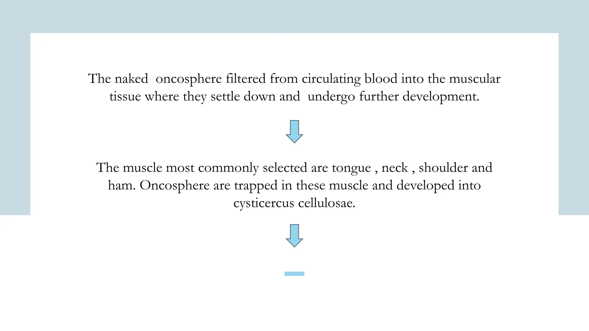 Life cycle of Taenia Solium & its parasitic adaptations. | PPTX