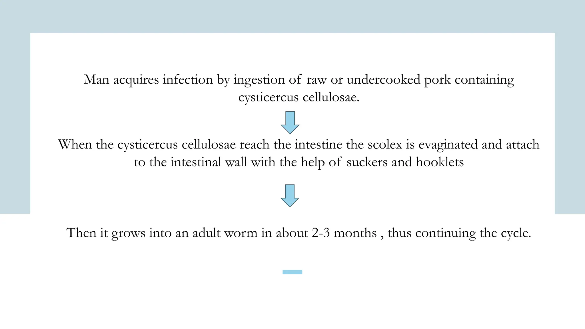Life cycle of Taenia Solium & its parasitic adaptations. | PPTX