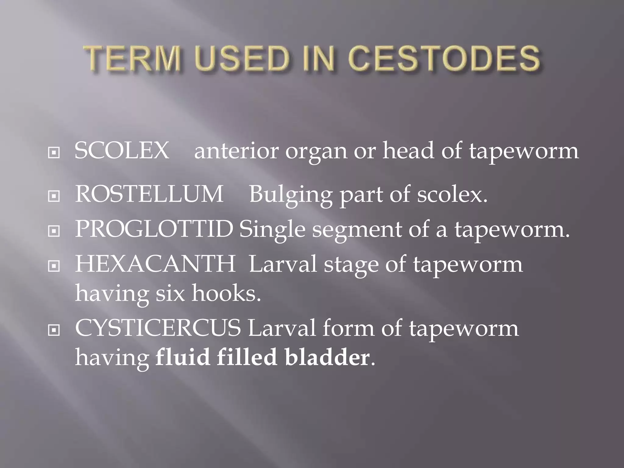 Taenia solium and taenia saginata | PPTX