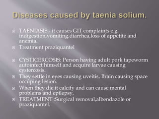 Taenia solium and taenia saginata | PPTX