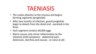 Taenia solium presentation2 | PPT