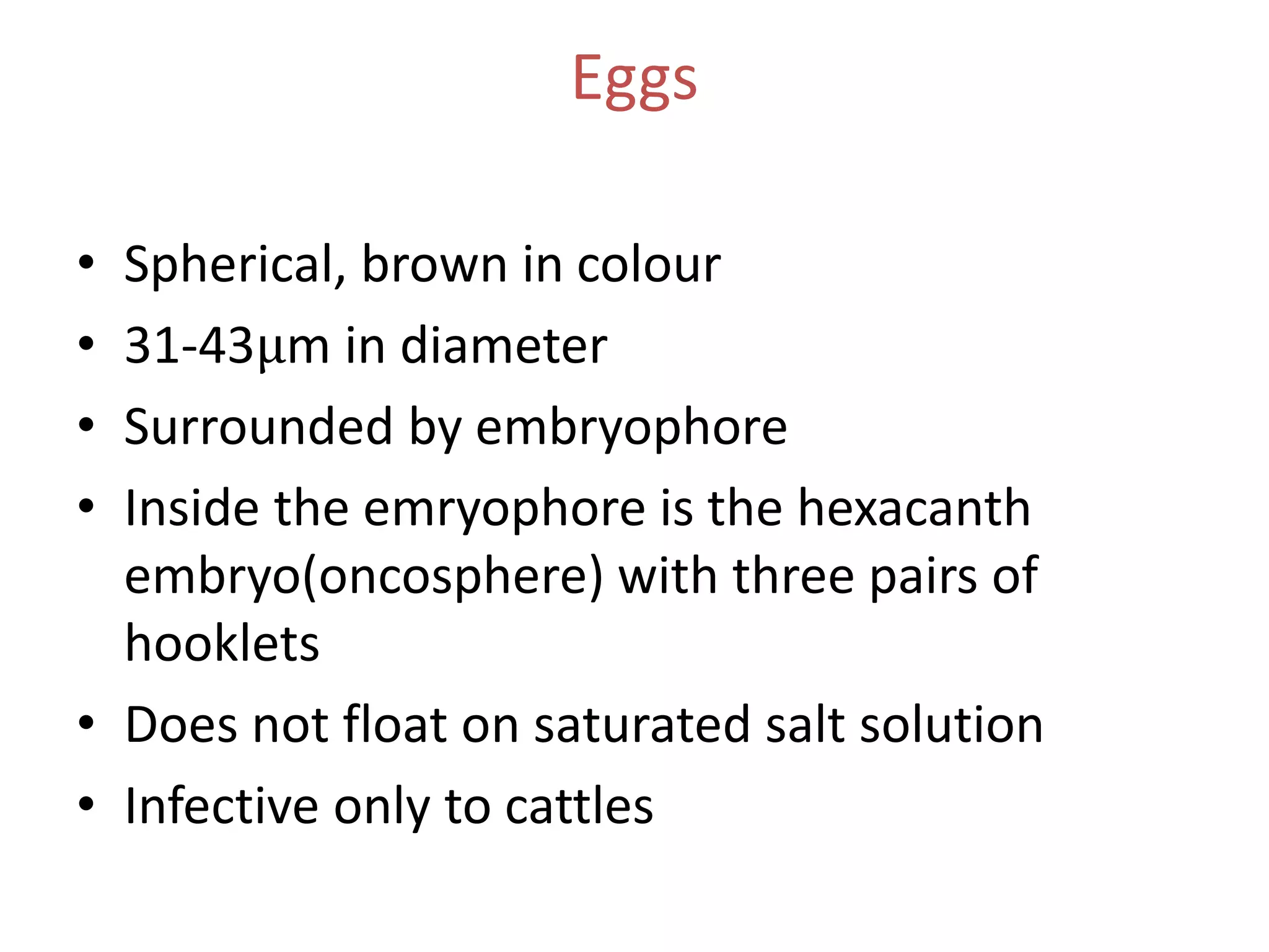 Taenia solium, saginata & neurocysticercosis | PPTX