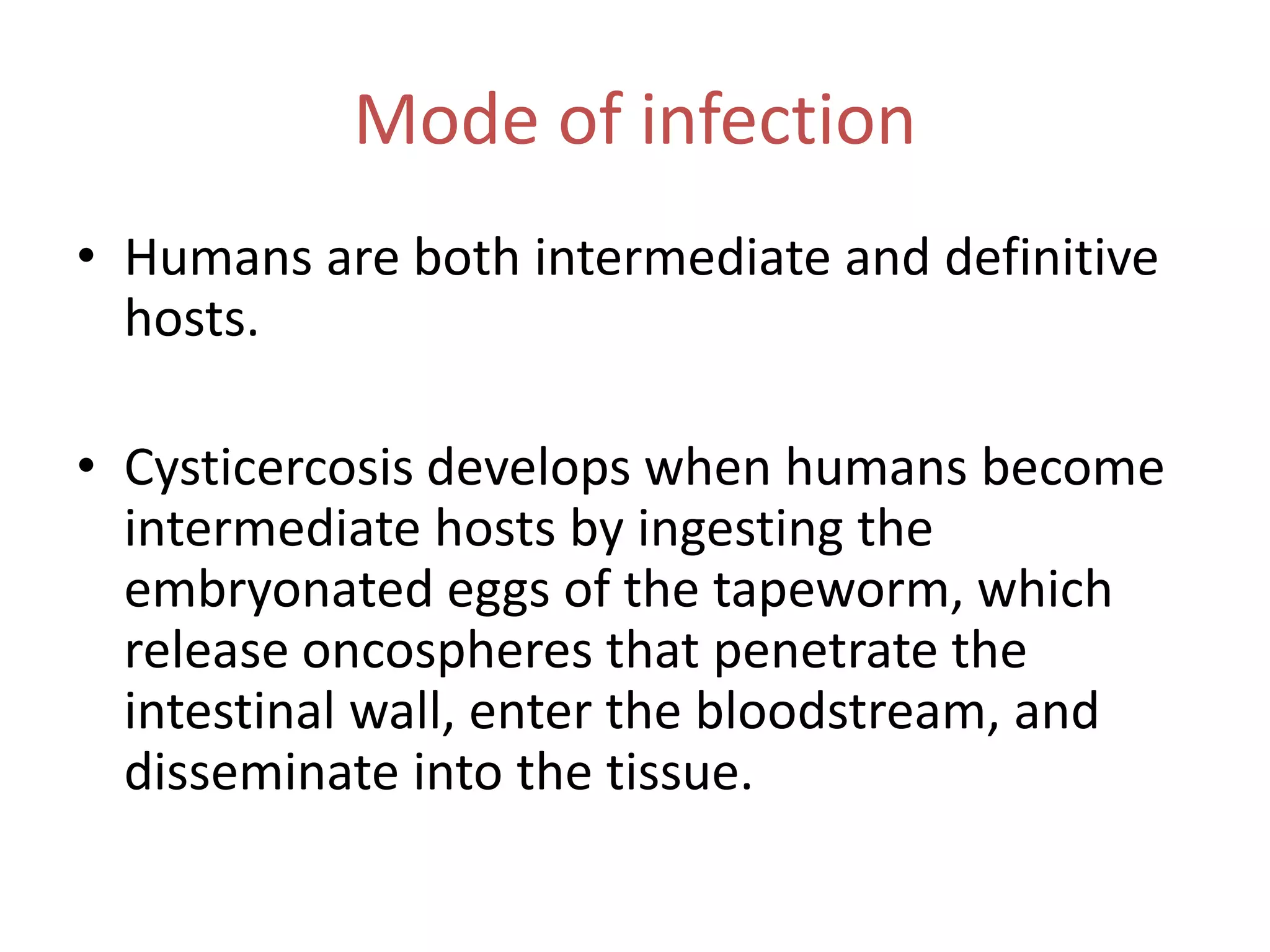 Taenia solium, saginata & neurocysticercosis | PPTX