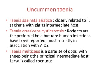 Taenia solium, saginata & neurocysticercosis | PPTX