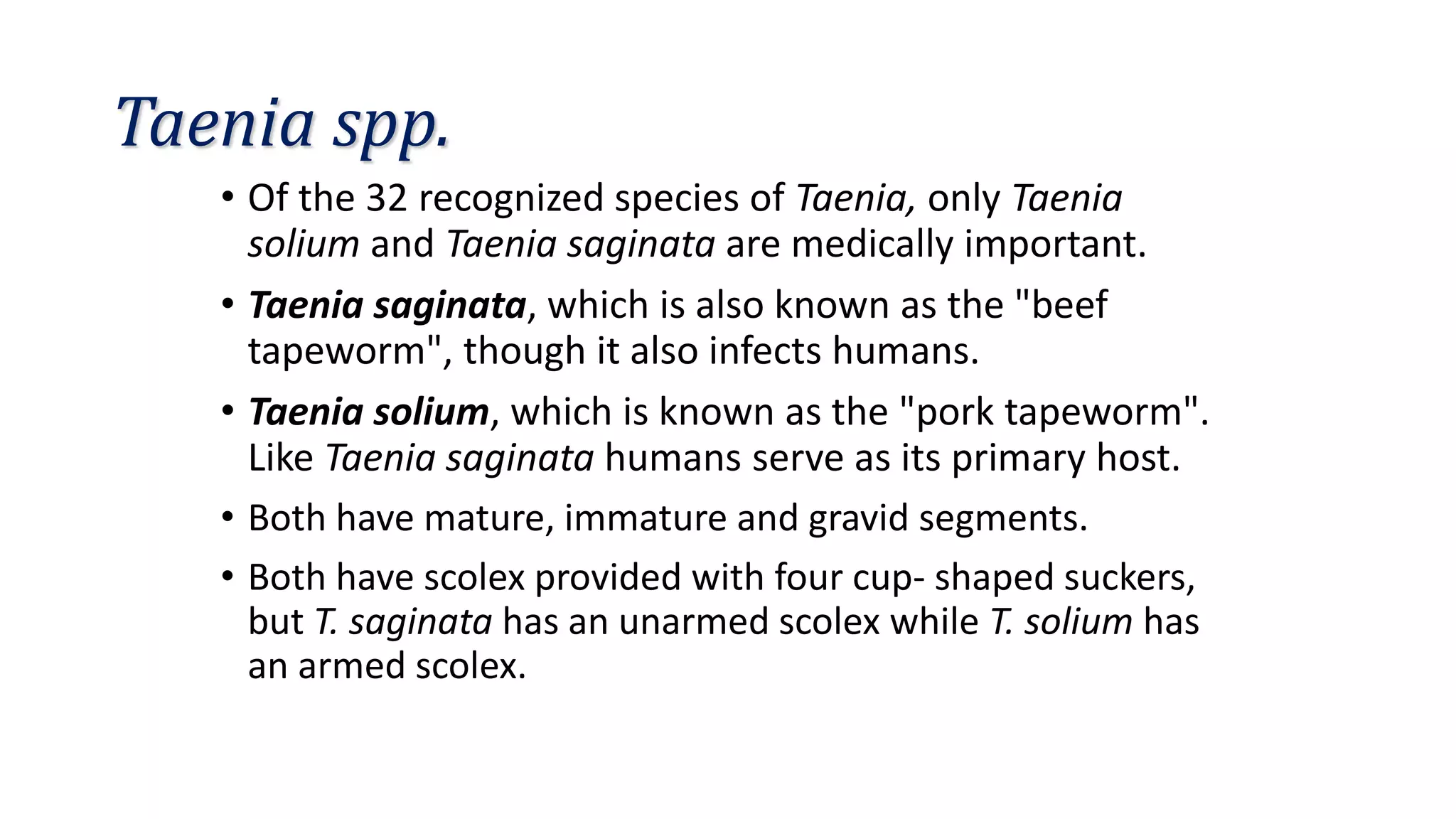 Taenia solium & Taenia saginata | PPTX