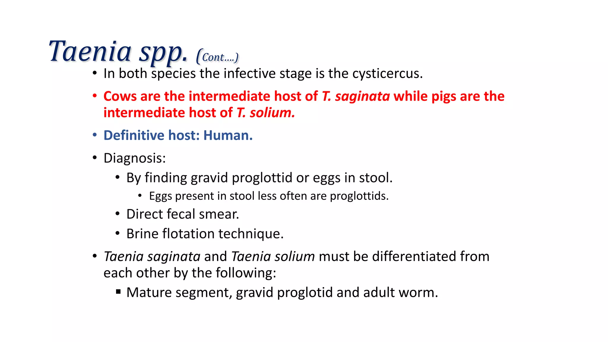 Taenia solium & Taenia saginata | PPTX
