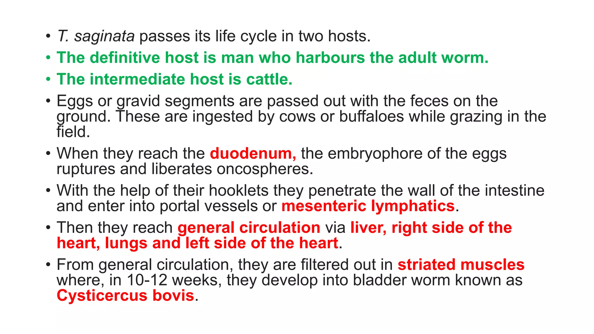 Taenia solium & Taenia saginata | PPTX