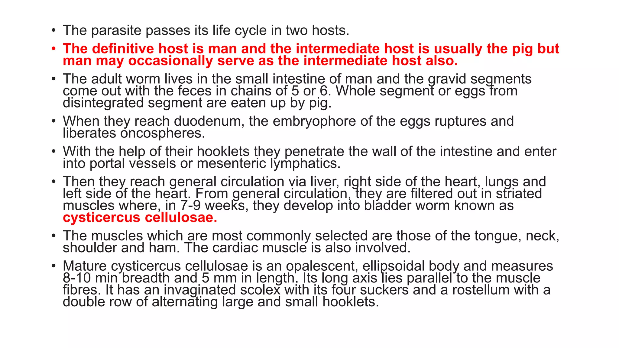 Taenia solium & Taenia saginata | PPTX