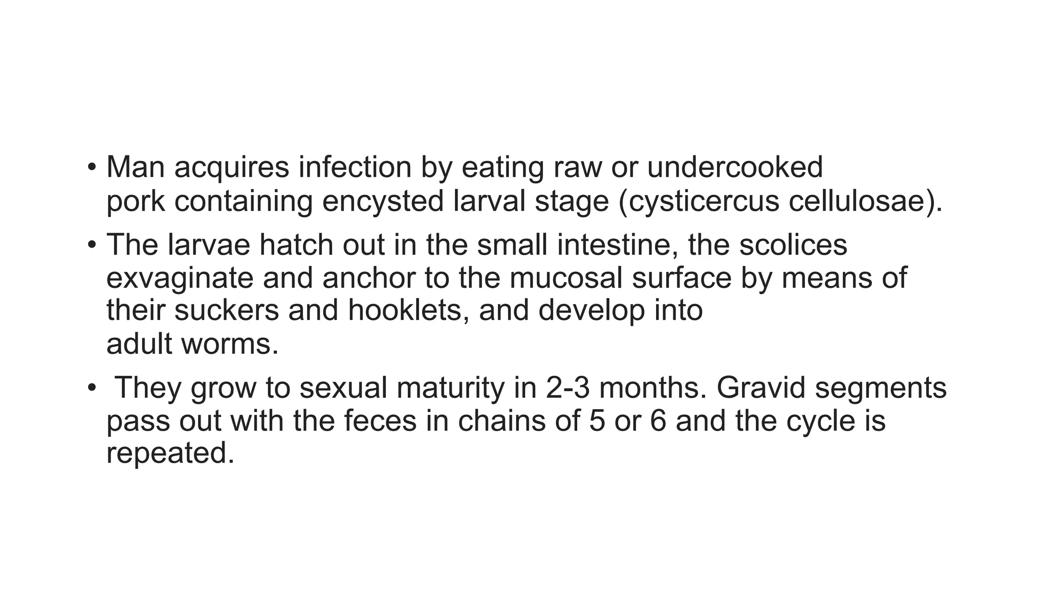 Taenia solium & Taenia saginata | PPTX