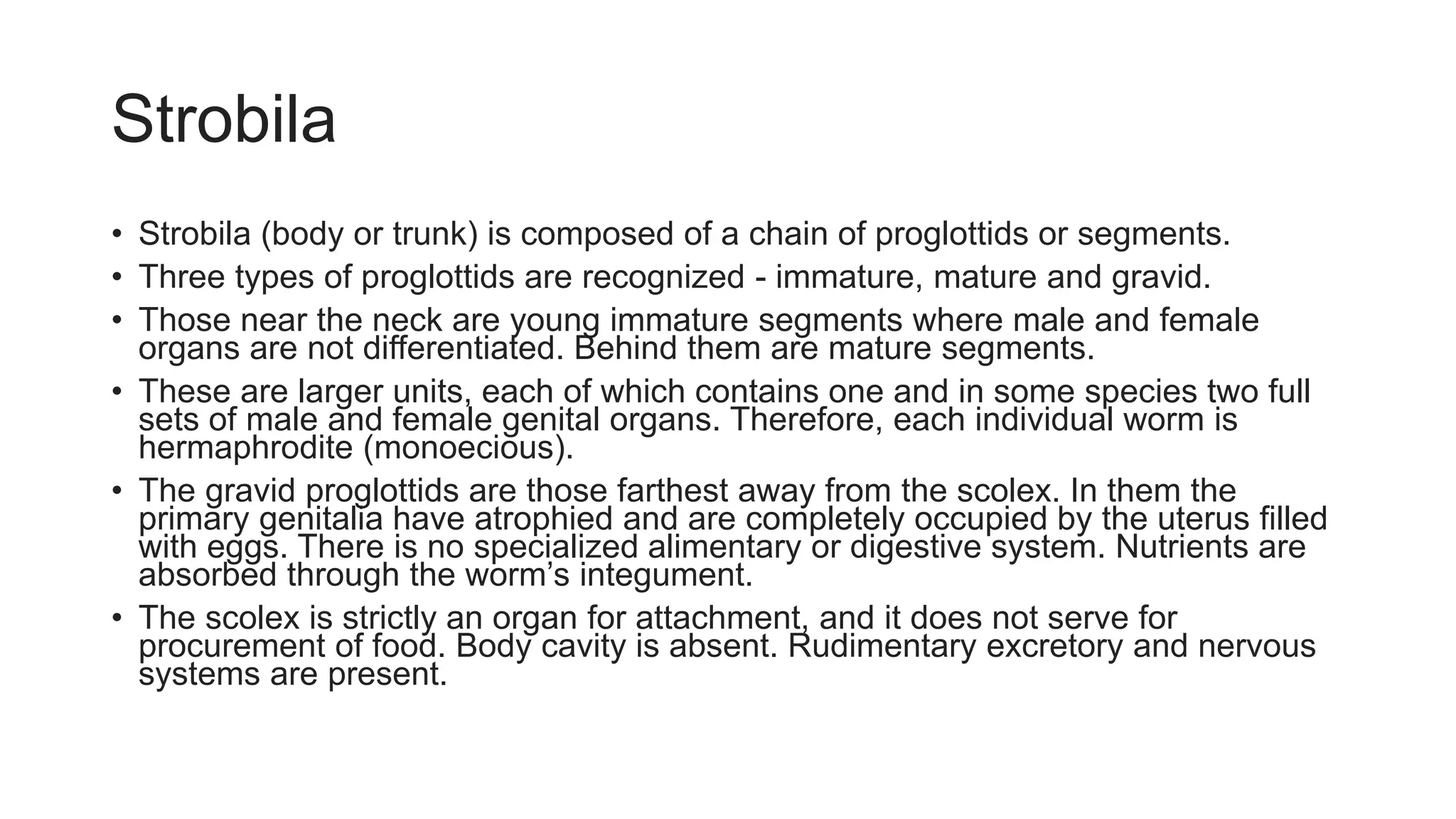 Taenia solium & Taenia saginata | PPTX