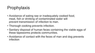 Taenia solium & Taenia saginata | PPTX