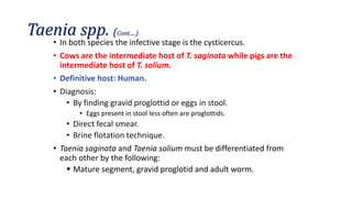 Taenia solium & Taenia saginata | PPTX