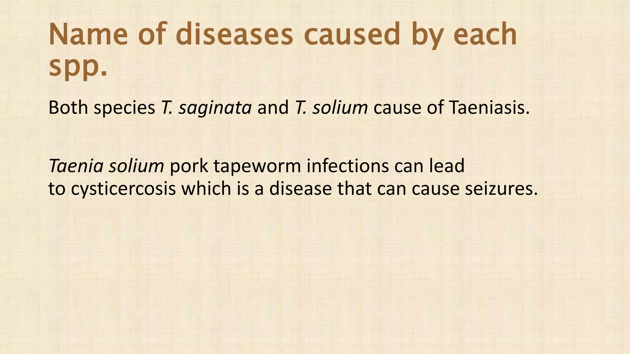 Taenia spp.. | PPTX