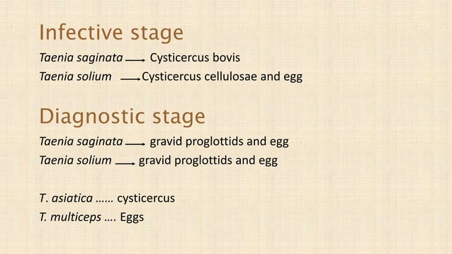 Taenia spp.. | PPTX | Digestive Disorders | Diseases and Conditions