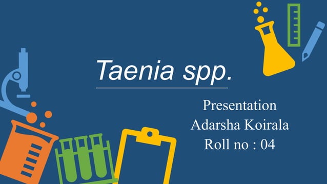 Taenia spp presentation . Given in detail | PPT