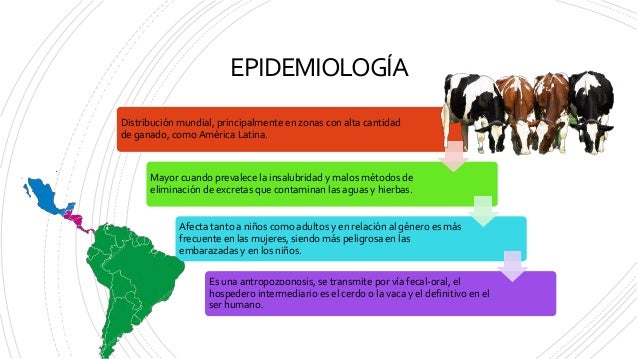 TAENIOSIS Y CISTICERCOSIS. Taenia saginata y Taenia solium.